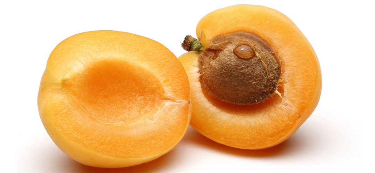 Συνταγές που περιέχουν Βερίκοκο - CookFast.gr