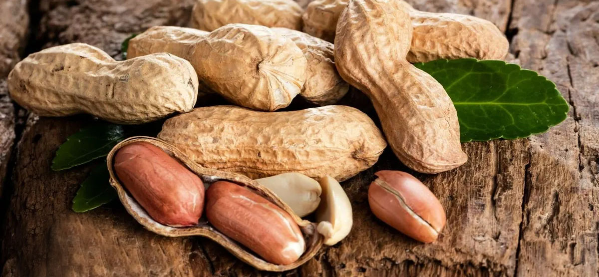 Συνταγές που περιέχουν Αράπικο φυστίκι - CookFast.gr