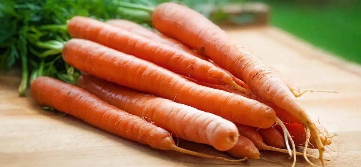 Συνταγές που περιέχουν Καρότο - CookFast.gr