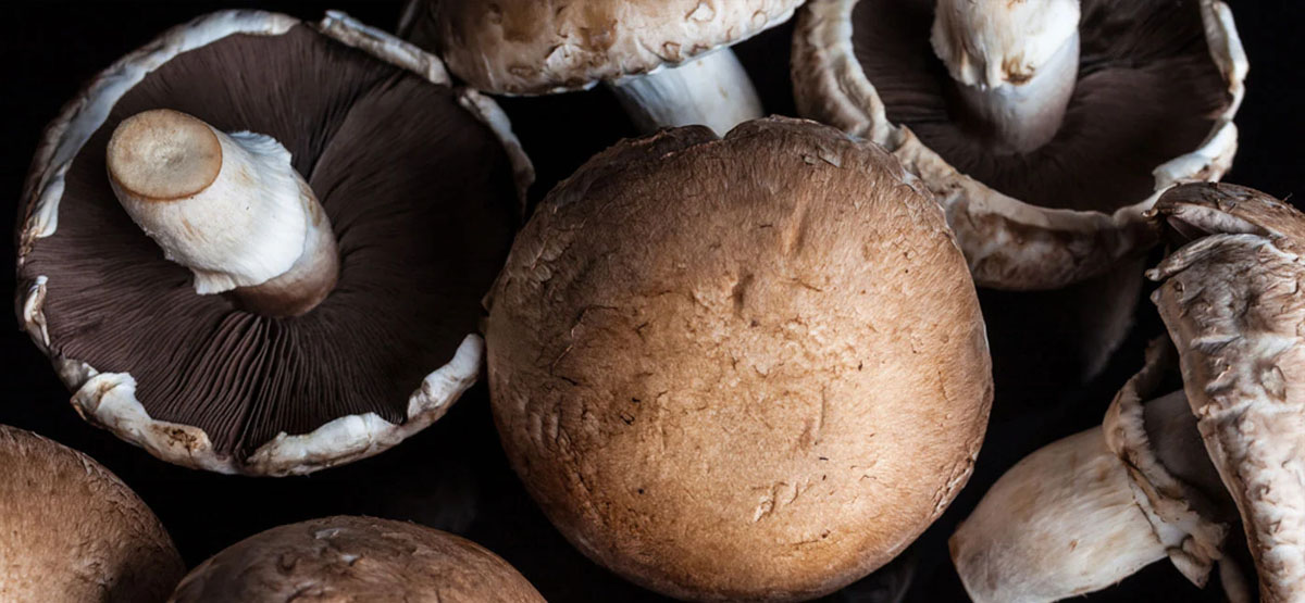 Συνταγές που περιέχουν Μανιτάρι πορτομπέλο - CookFast.gr