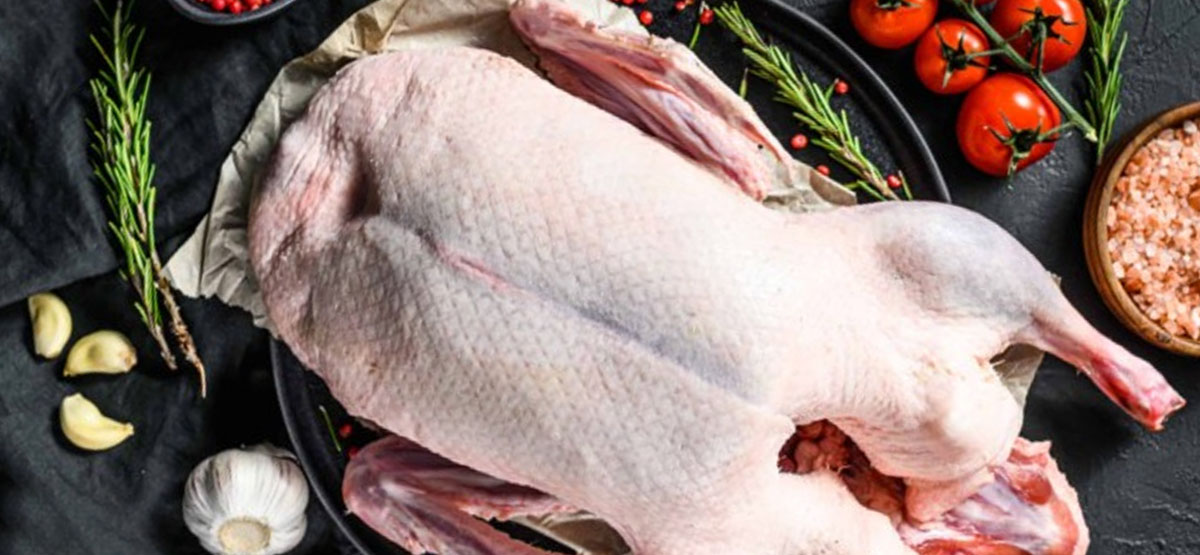 Συνταγές που περιέχουν Πάπια - CookFast.gr