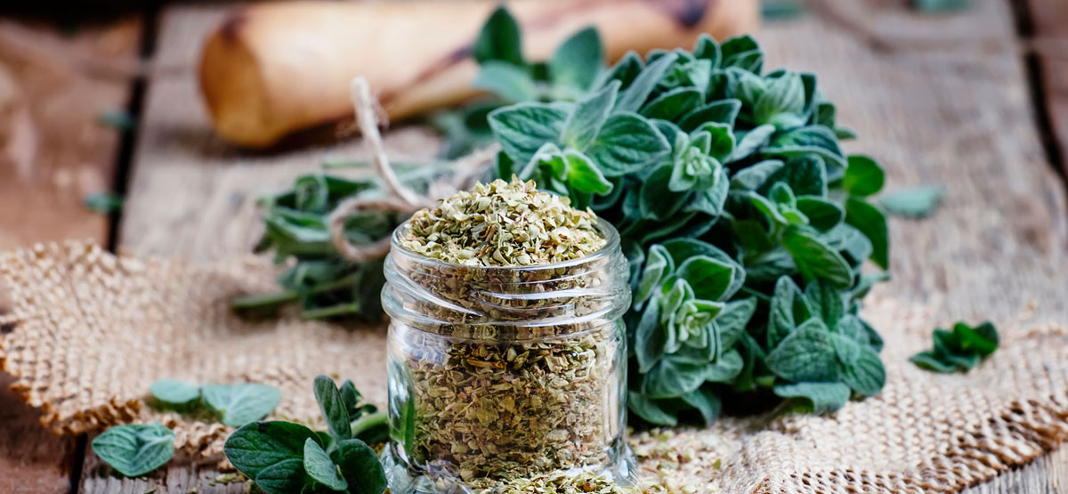 Συνταγές που περιέχουν Ρίγανη - CookFast.gr