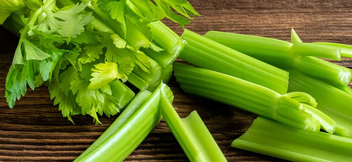Συνταγές που περιέχουν Σέλερι - CookFast.gr